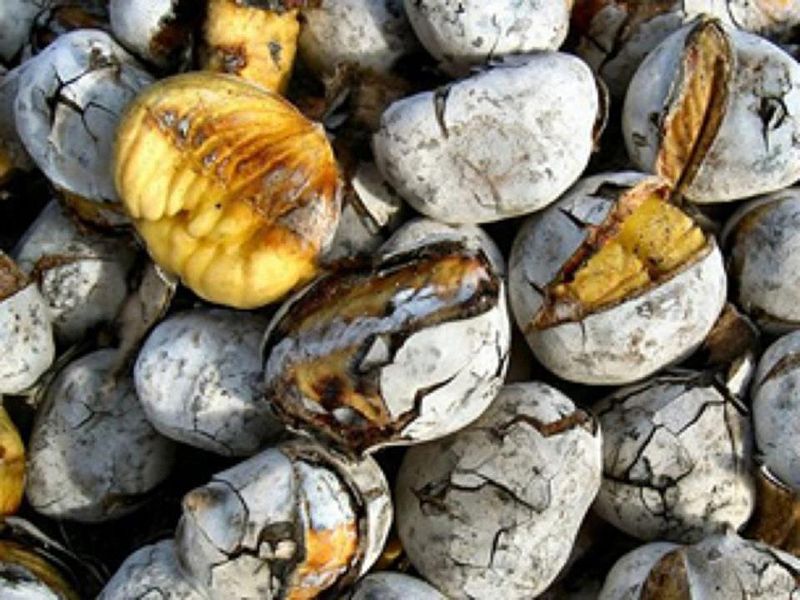 Preparado para o maior magusto do mundo?